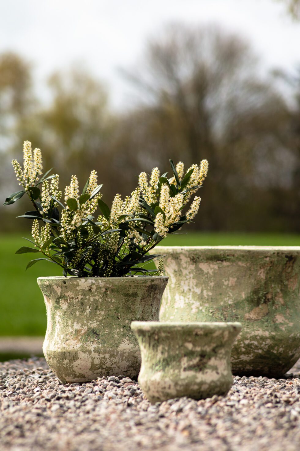 Gallery - Grama Design